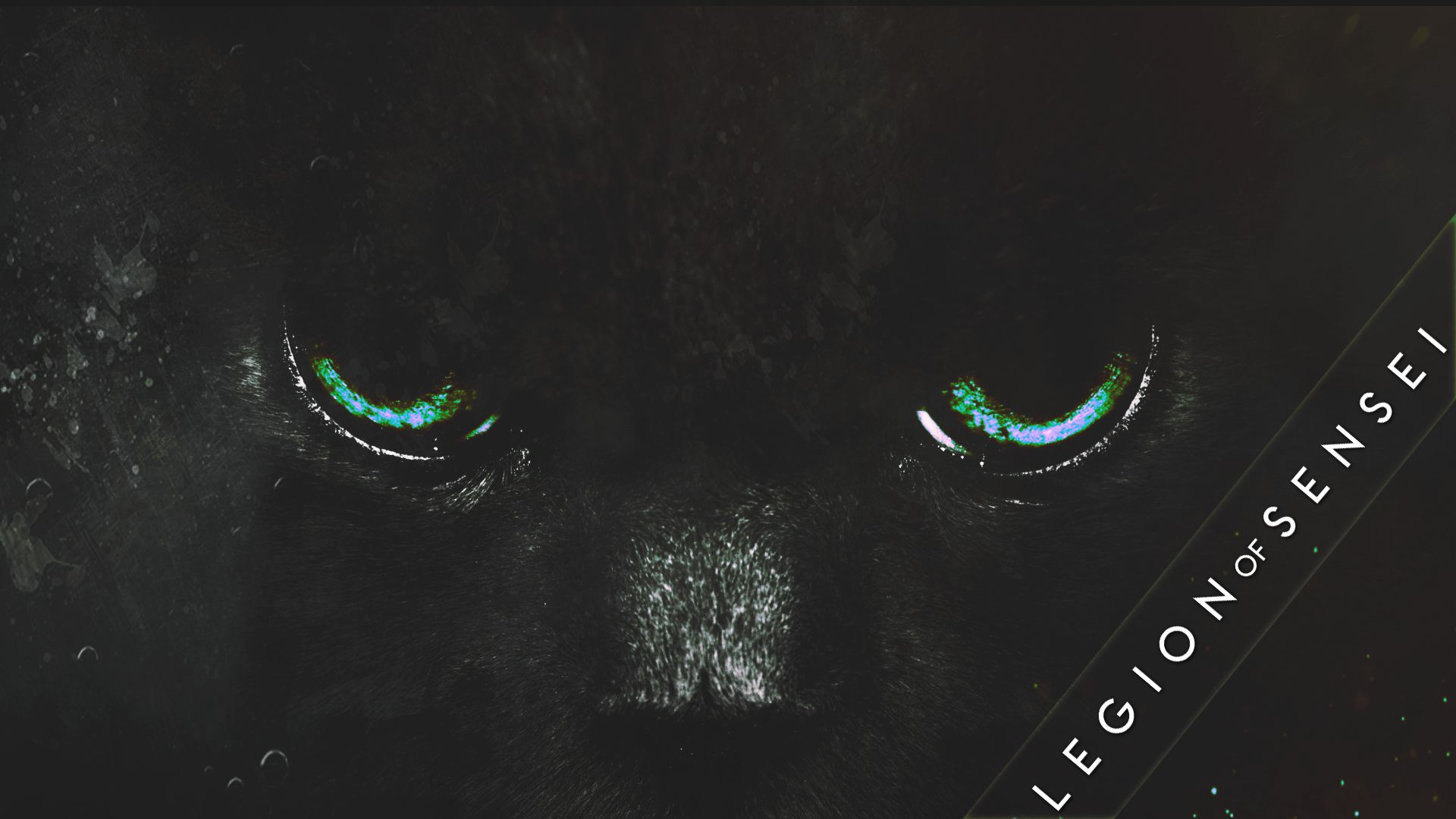 Meinung - Archiv - Legion of Sensei