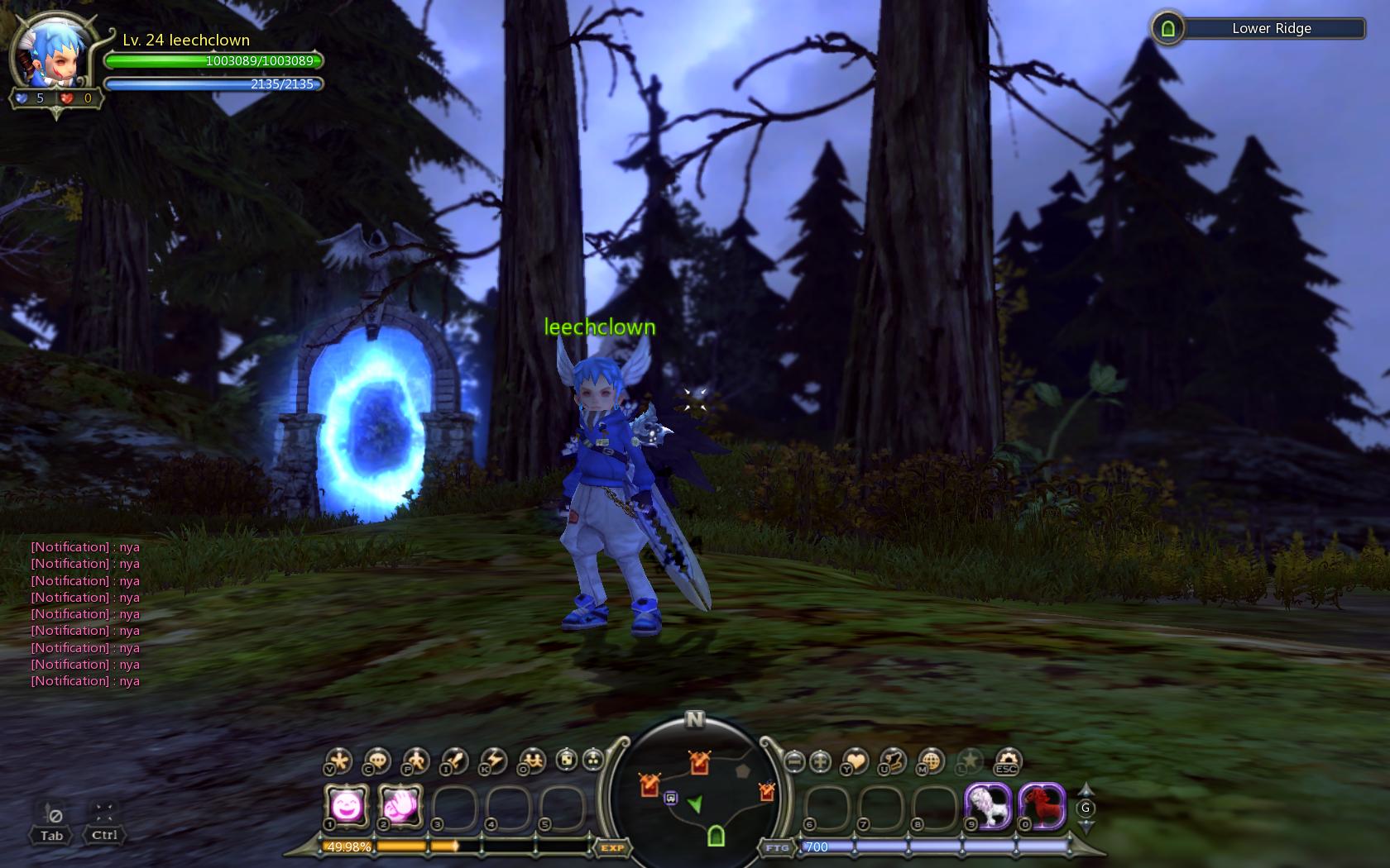 Dragon Nest Full Server Database 70lvl Tools Client Mini Guide Page 47 Ragezone